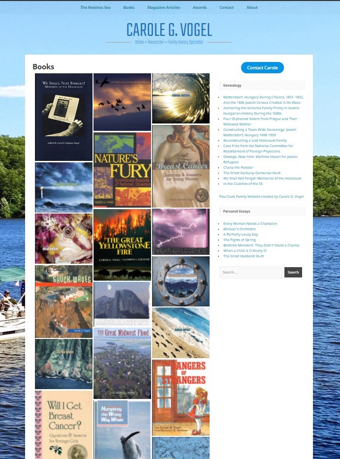 Joshua Vogel • Portfolio